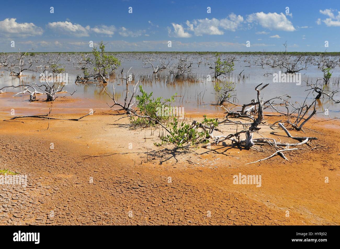 Mexico, the Yucatan Peninsula landscape Stock Photo - Alamy