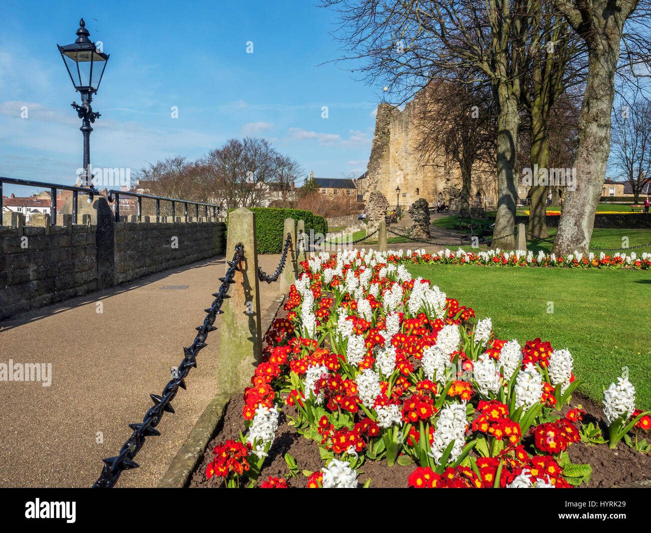 Spring Flowers in the Grounds at Knaresborough Castle Knaresborough ...