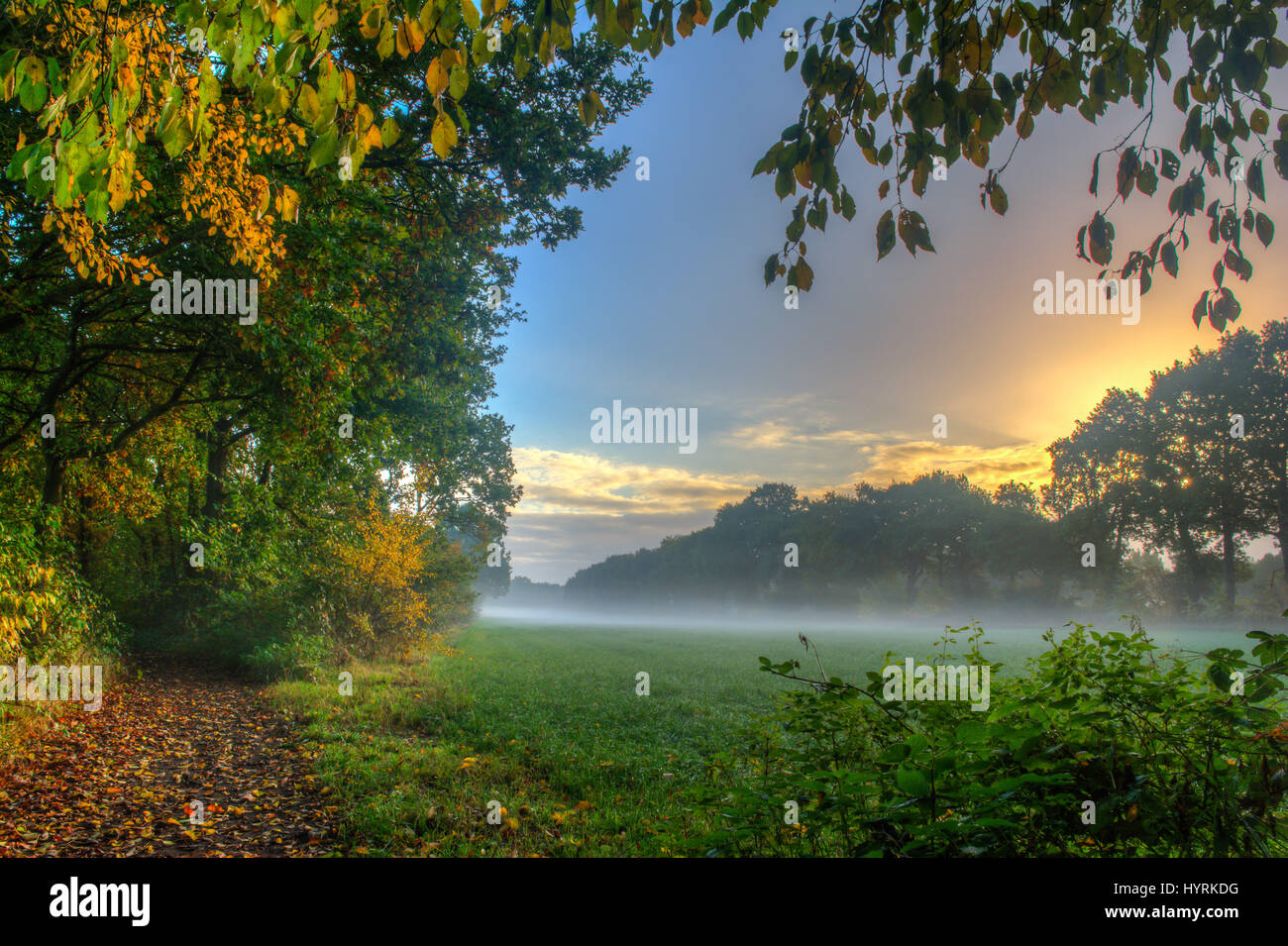 Early misty morning meadow in autumn. Holland. Europe Stock Photo - Alamy