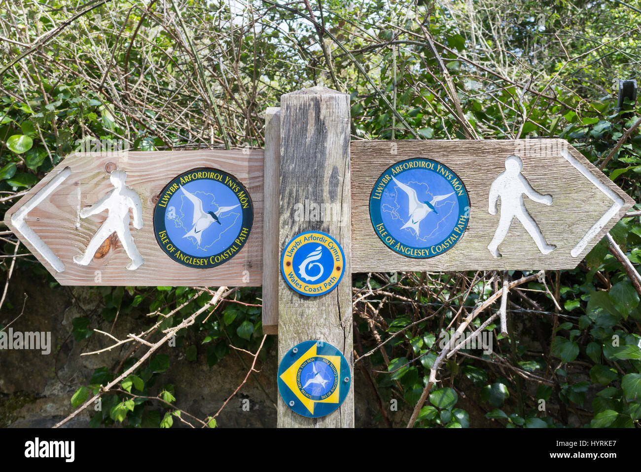 Path walk walking directions hi-res stock photography and images - Alamy