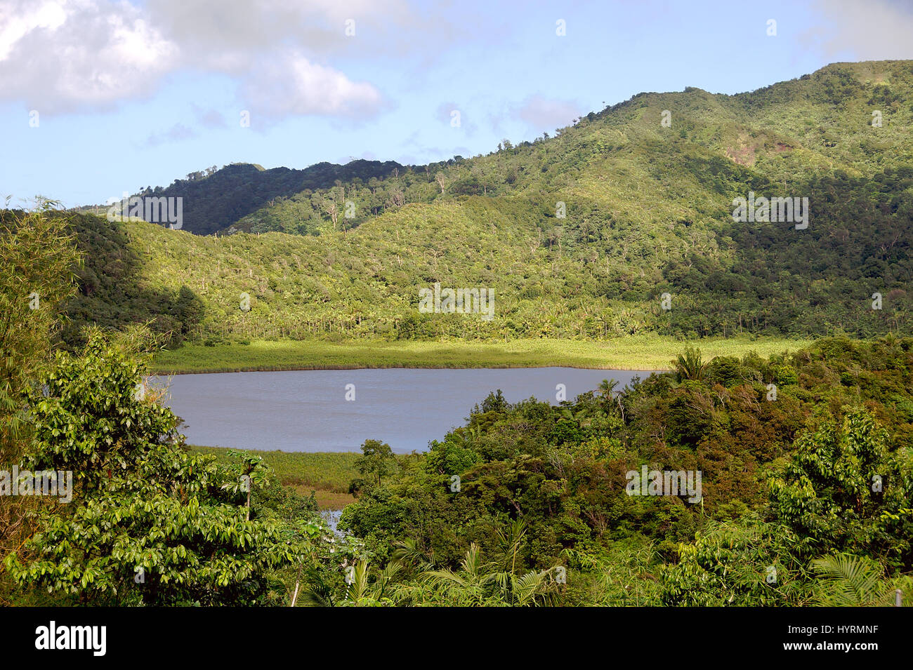 Grand Etang National Park Stock Photos & Grand Etang National Park ...
