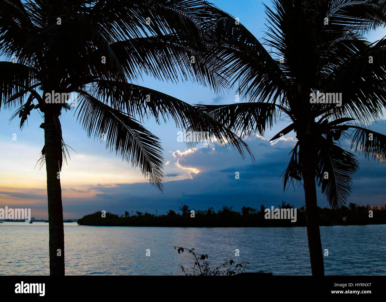 Palm Tree Sunset Stock Photo - Alamy