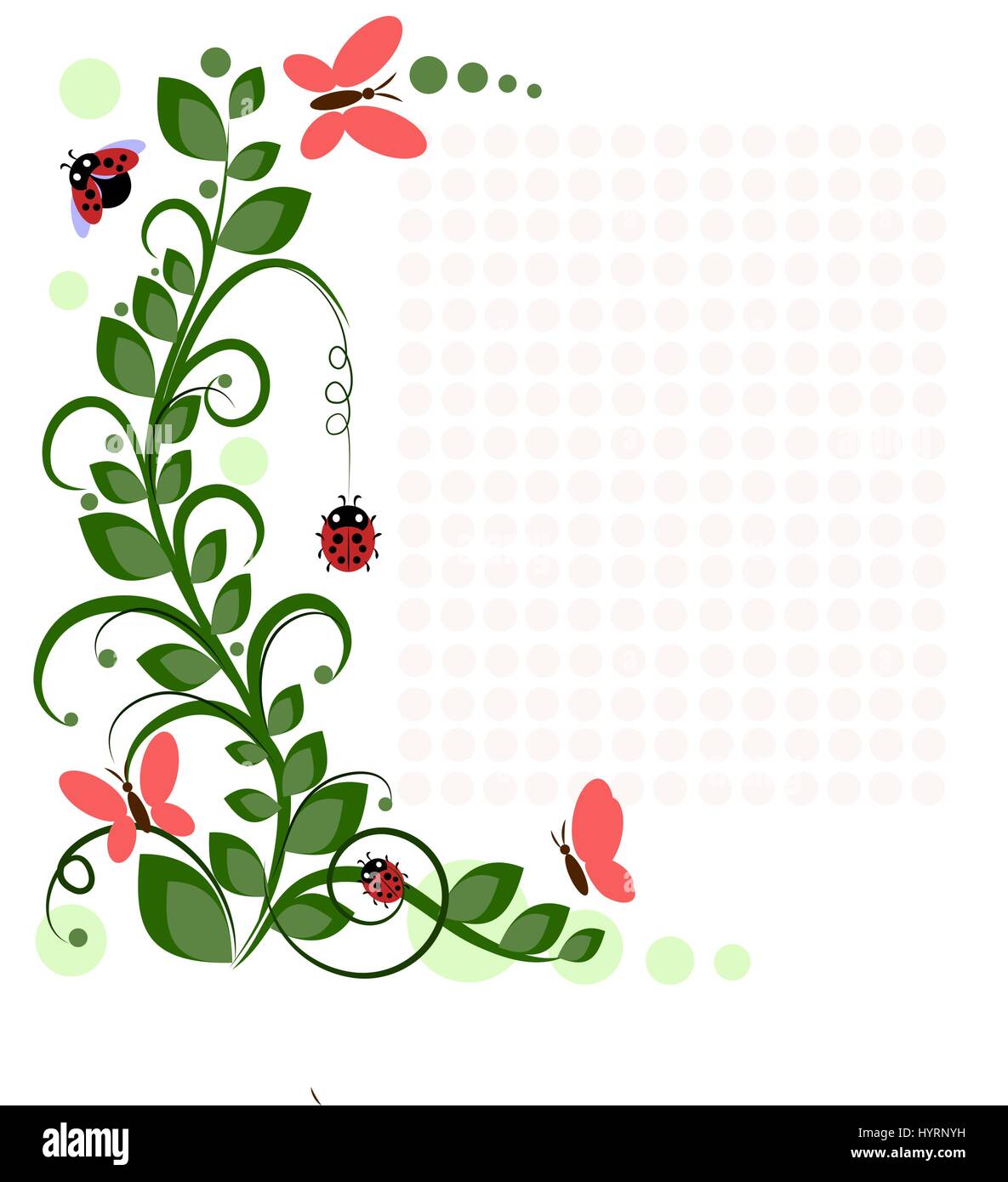 vector drawing with flowers and insects Stock Vector Image & Art - Alamy