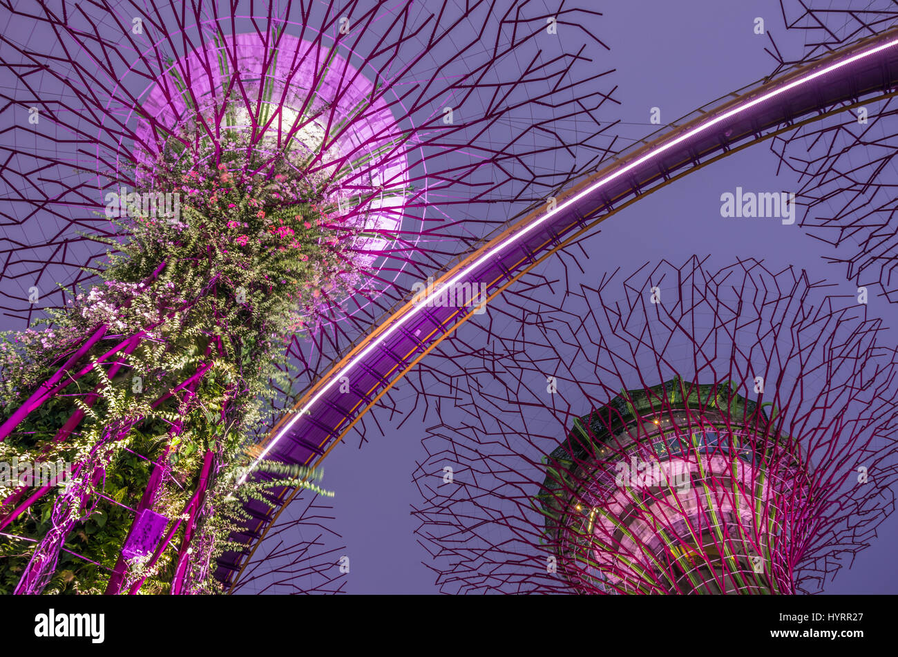 Beautiful light show supertree grove hi-res stock photography and ...