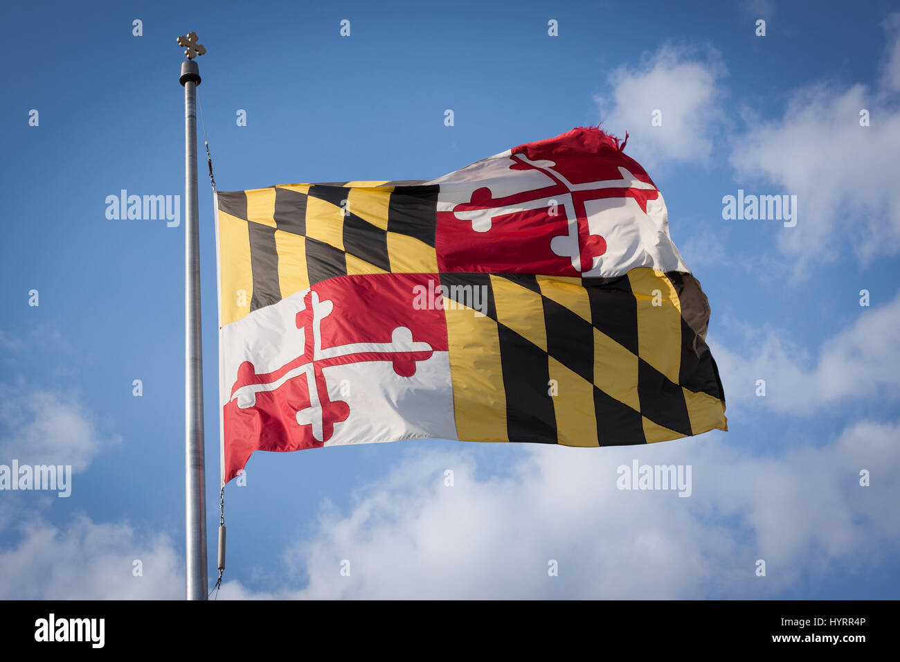 Maryland flag hi-res stock photography and images - Alamy