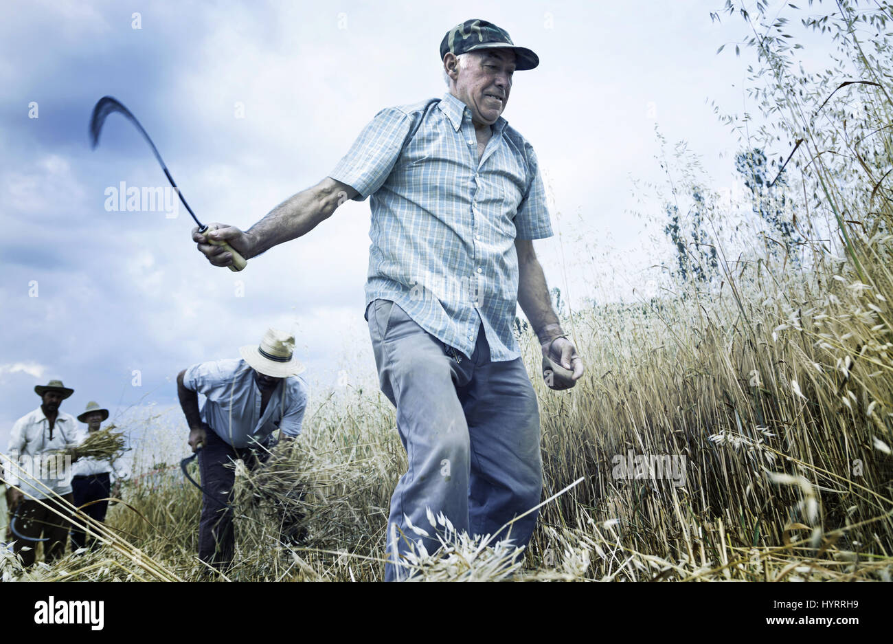 Group of farmers working, detail of a manual workers in the field ...