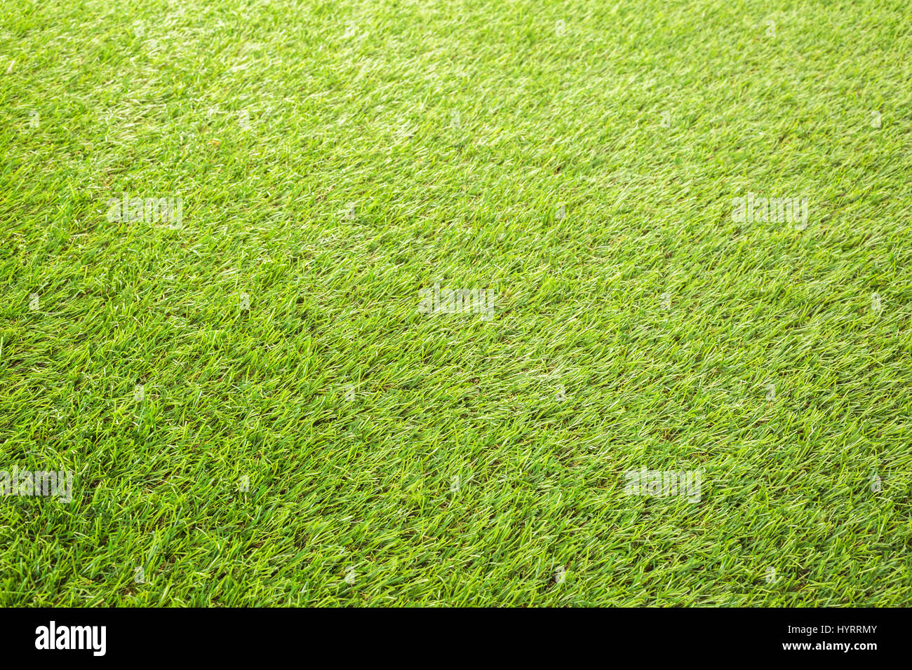 Perfectely green artificial turf as a bakground Stock Photo - Alamy