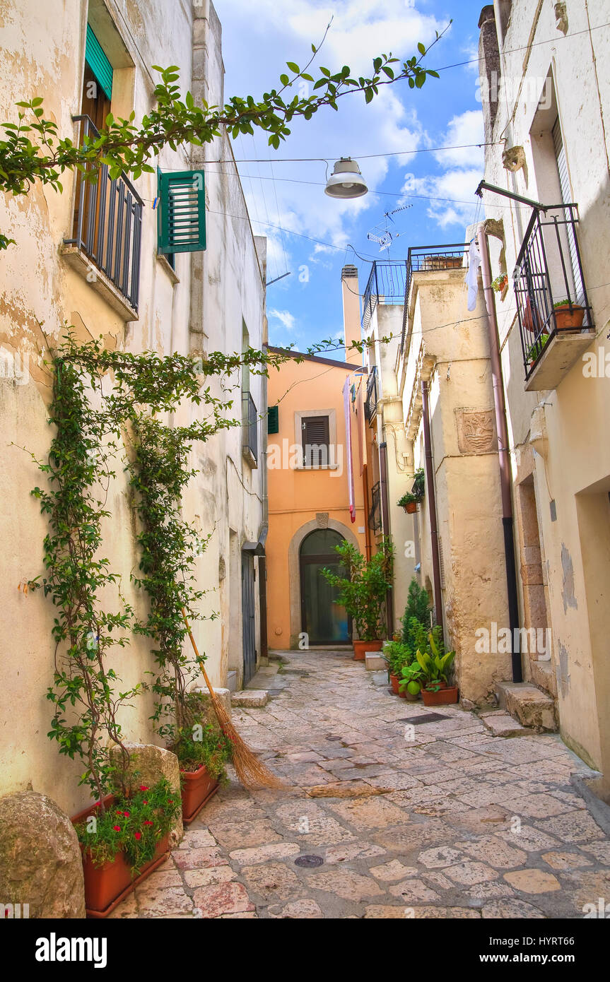 Alleyway. Altamura. Puglia. Italy Stock Photo - Alamy