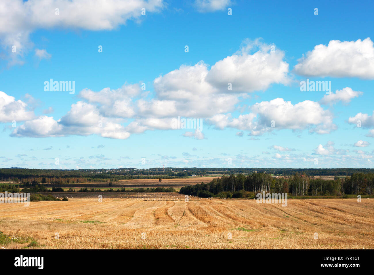 Fields and clouds in early autumn Stock Photo - Alamy