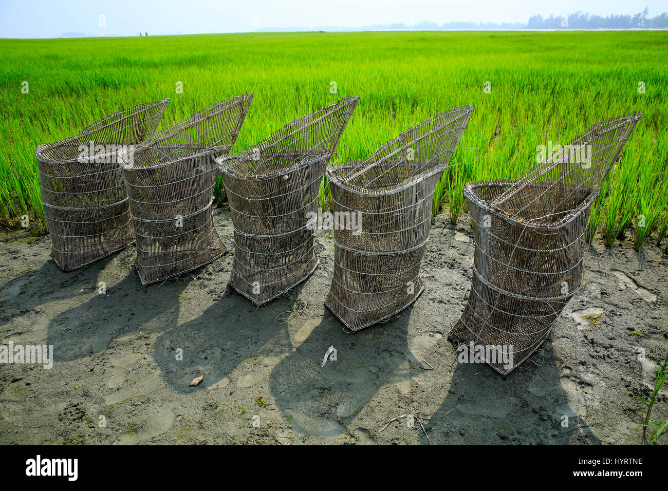 Bogra bangladesh boat hi-res stock photography and images - Alamy