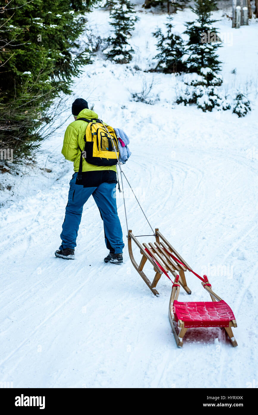 Person is pulling sledge on the mountain road in woods. Active people ...