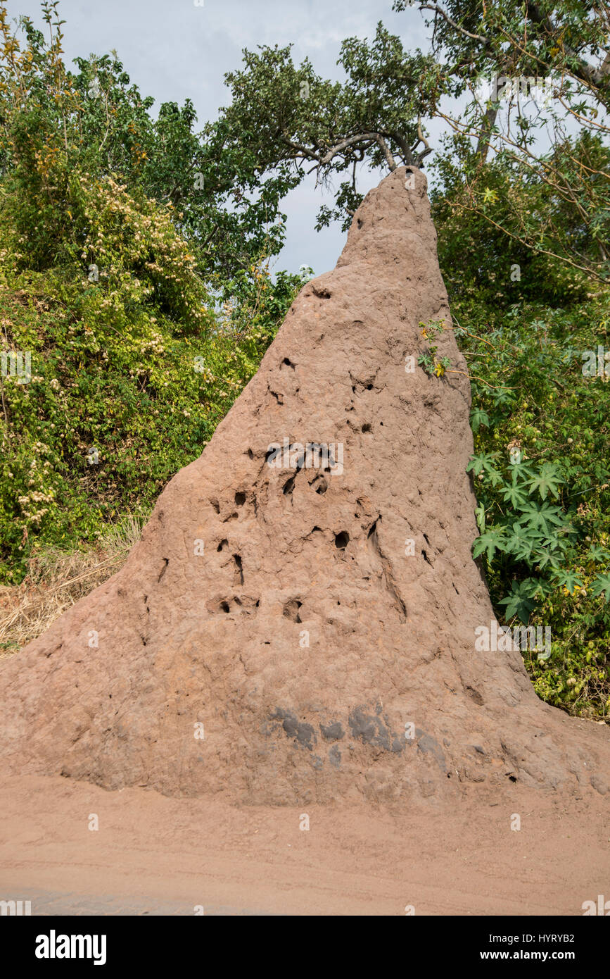 Termite mound (Isoptera). Namibia Stock Photo - Alamy
