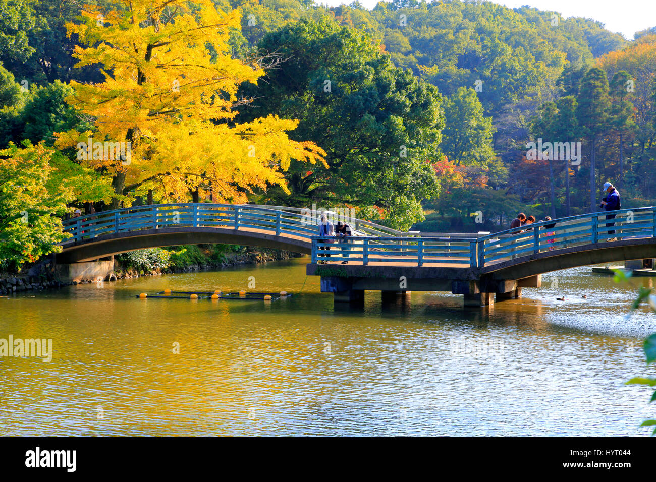 Yakushiike Park Machida city Tokyo Japan Stock Photo - Alamy