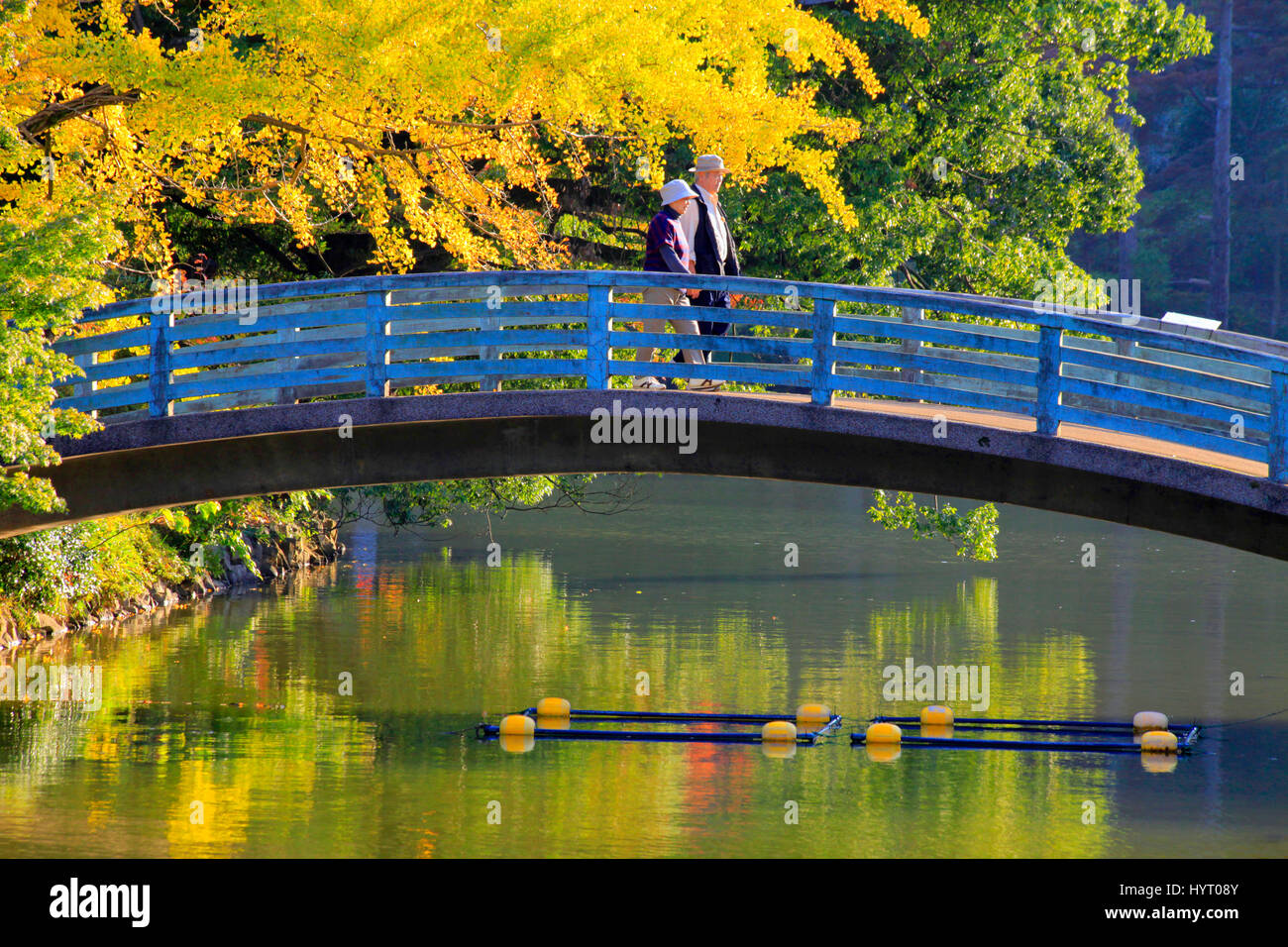 Yakushiike Park Machida city Tokyo Japan Stock Photo - Alamy