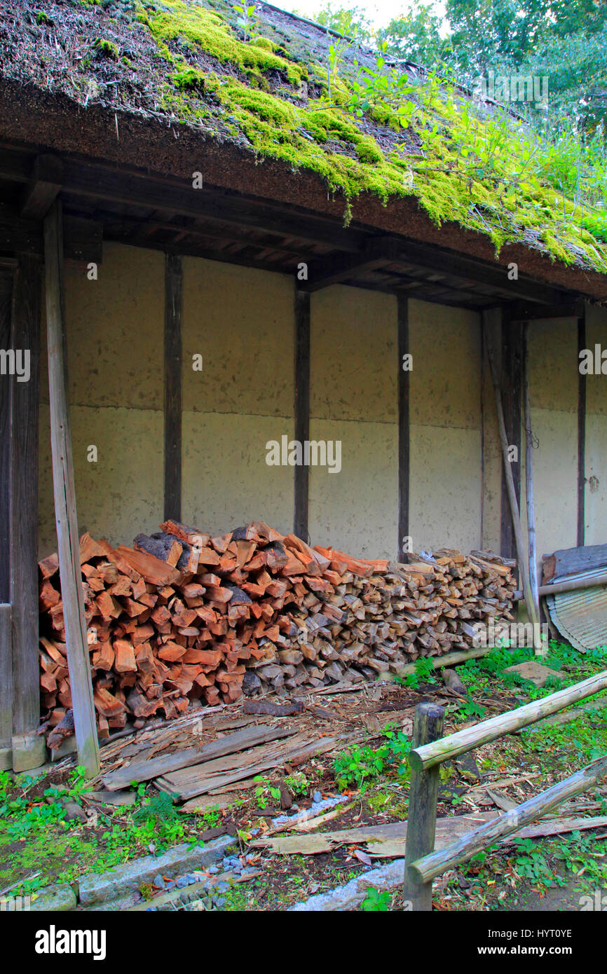 Yakushiike Park Machida city Tokyo Japan Stock Photo - Alamy