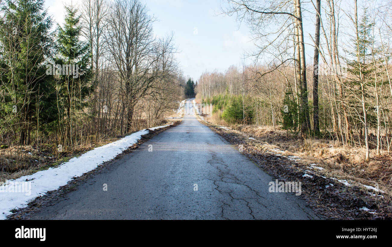 empty road in the countryside with trees in surrounding. perspective in ...