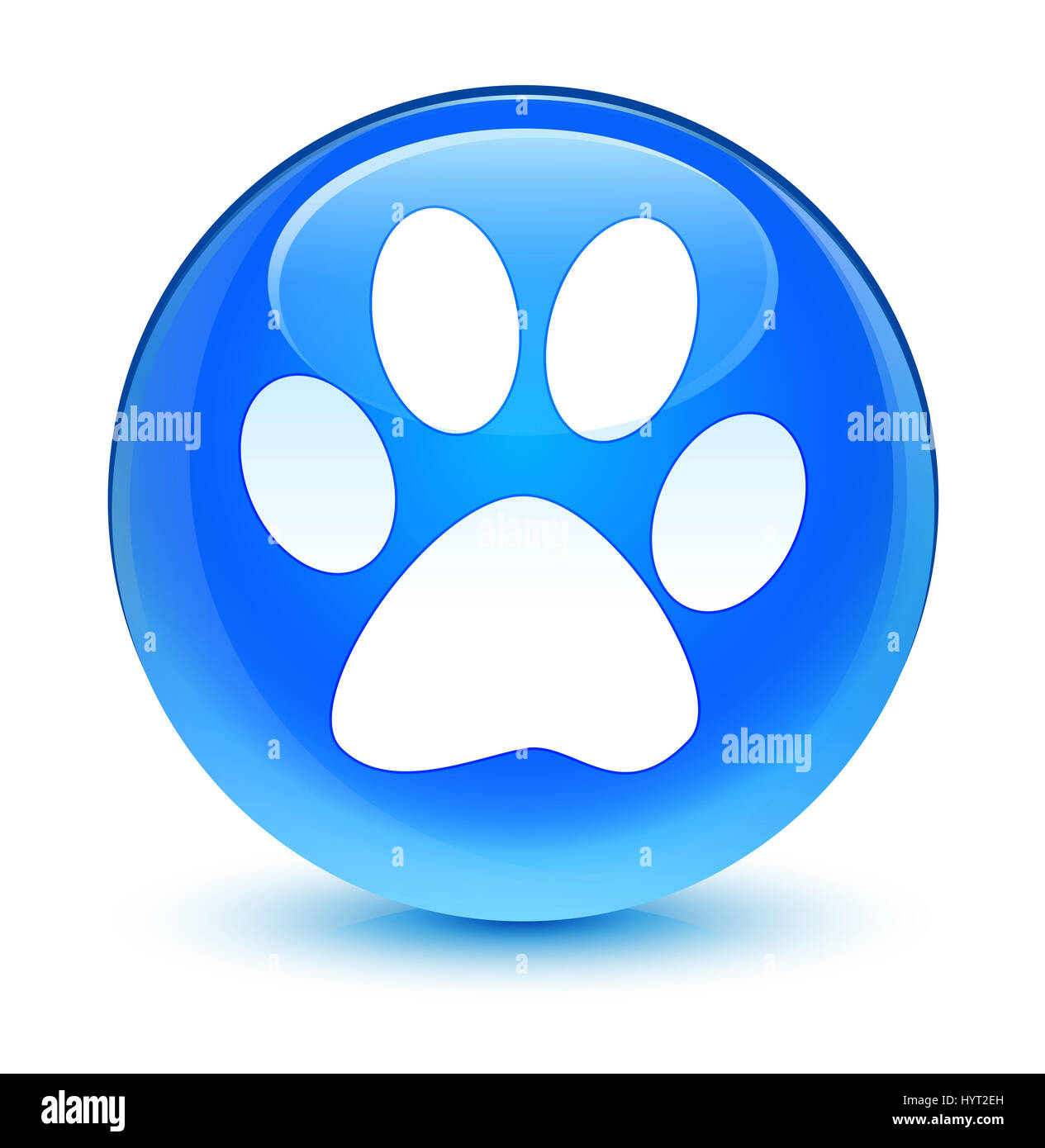 Animal footprint icon isolated on glassy cyan blue round button ...