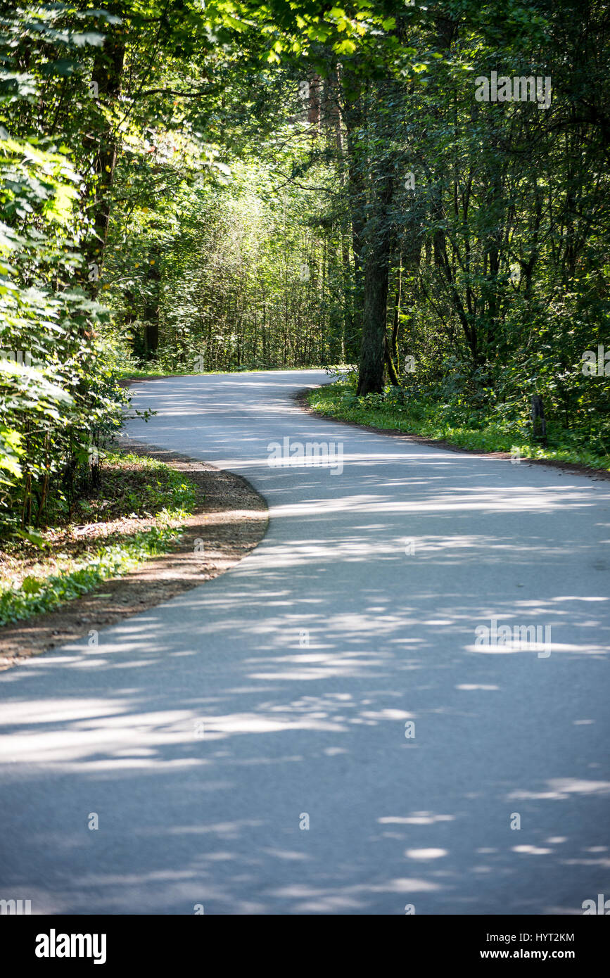 slightly lit road in the forest Stock Photo - Alamy