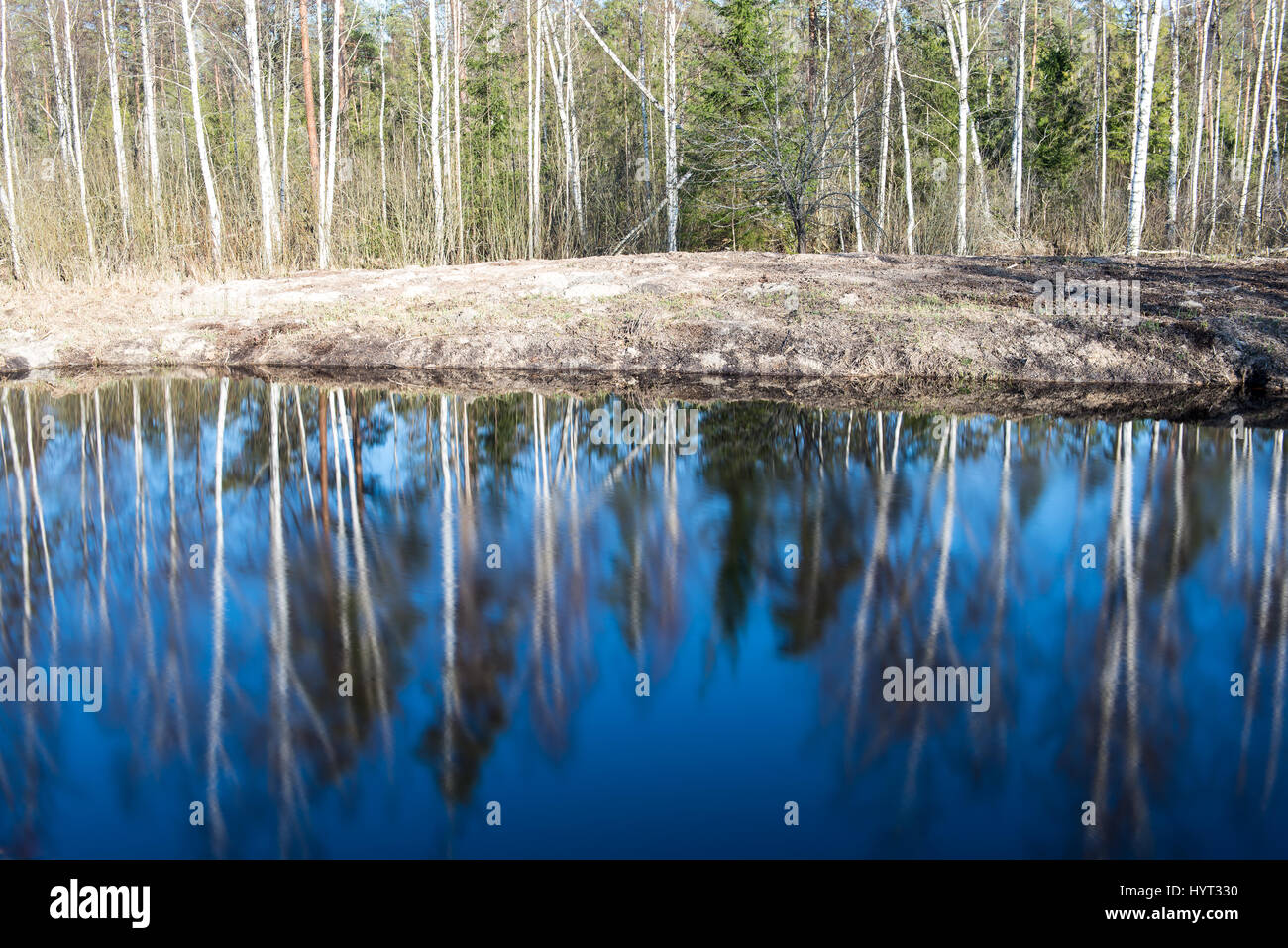 reflections of trees in blue pond water. spring in country Stock Photo ...