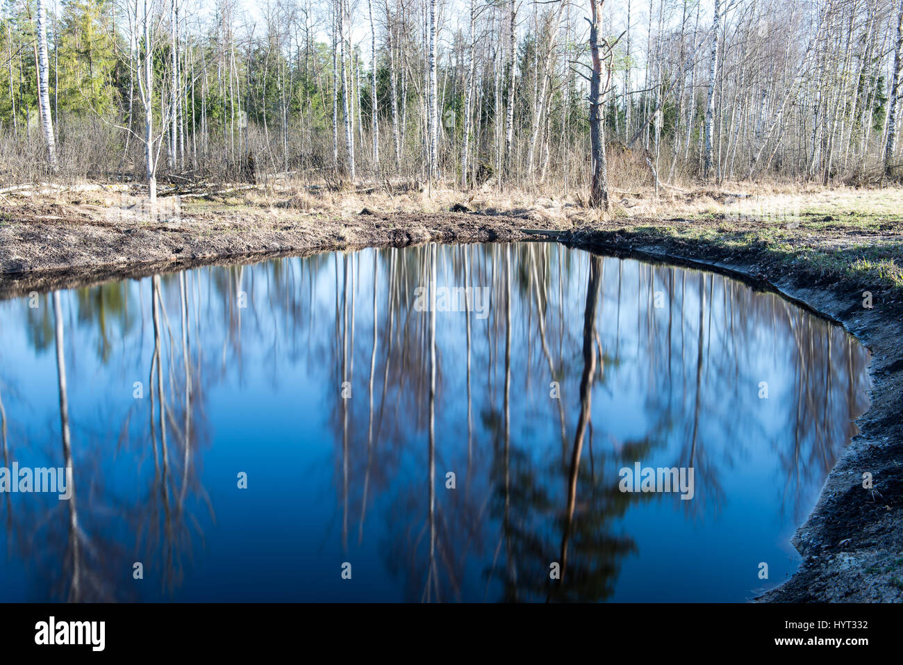 reflections of trees in blue pond water. spring in country Stock Photo ...