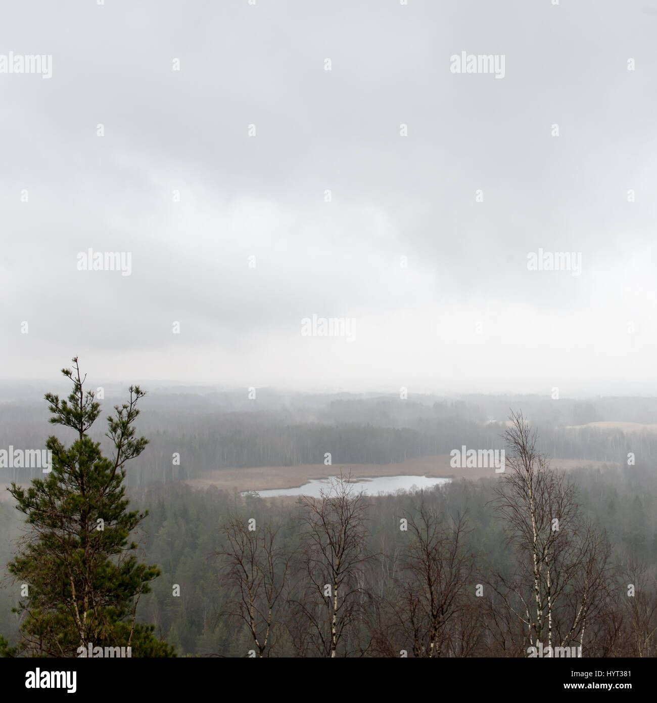 Panoramic view misty forest far hi-res stock photography and images - Alamy