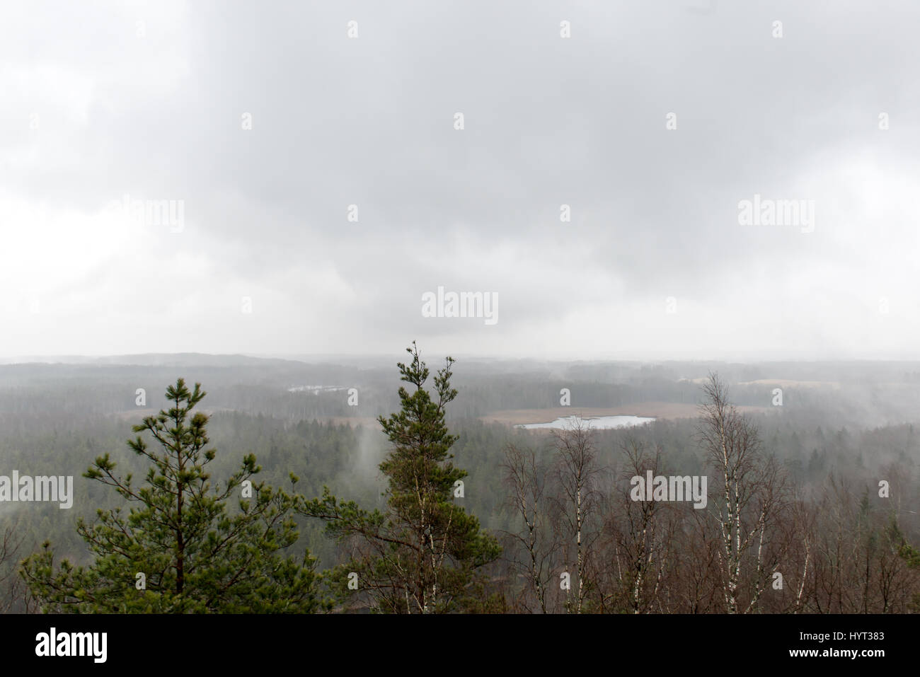 Panoramic view misty forest far hi-res stock photography and images - Alamy