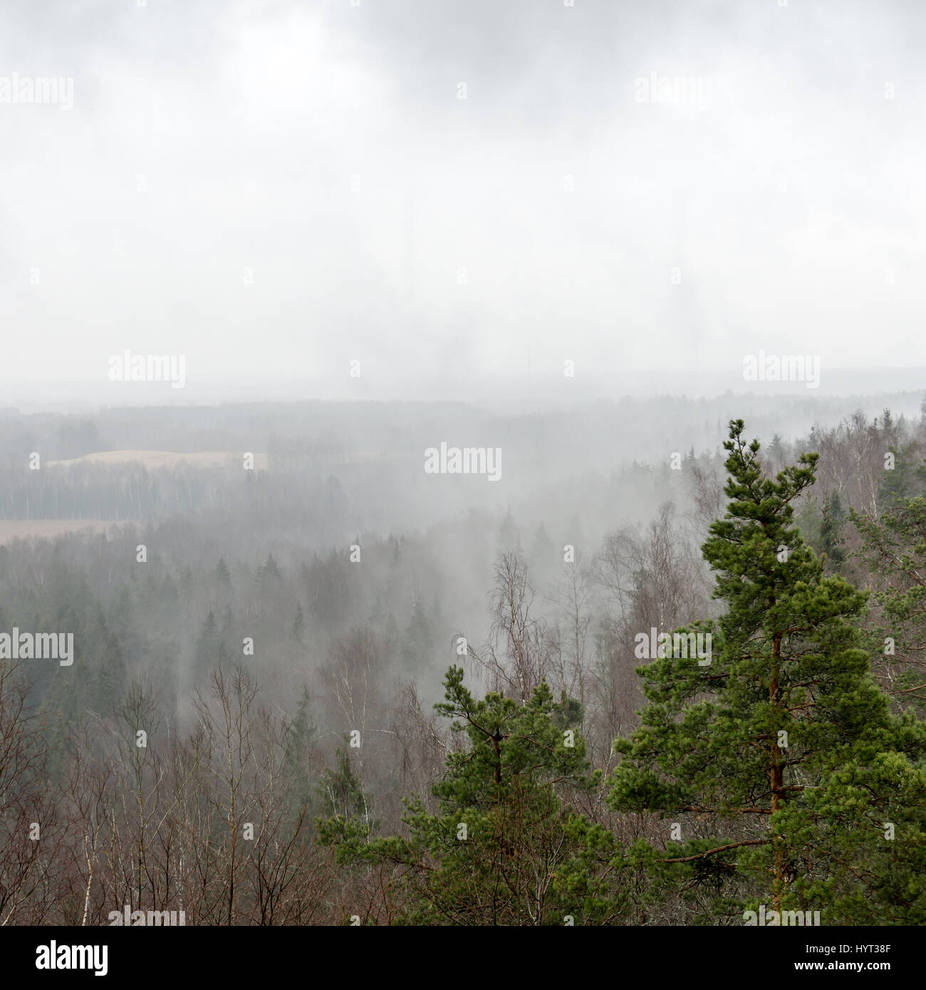Panoramic view misty forest far hi-res stock photography and images - Alamy