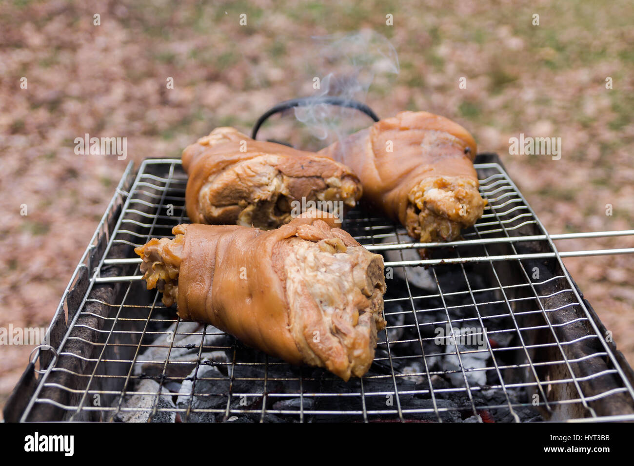 Cooking pork shank at the stake. Smoke and meat. Barbecue, meat, grill ...