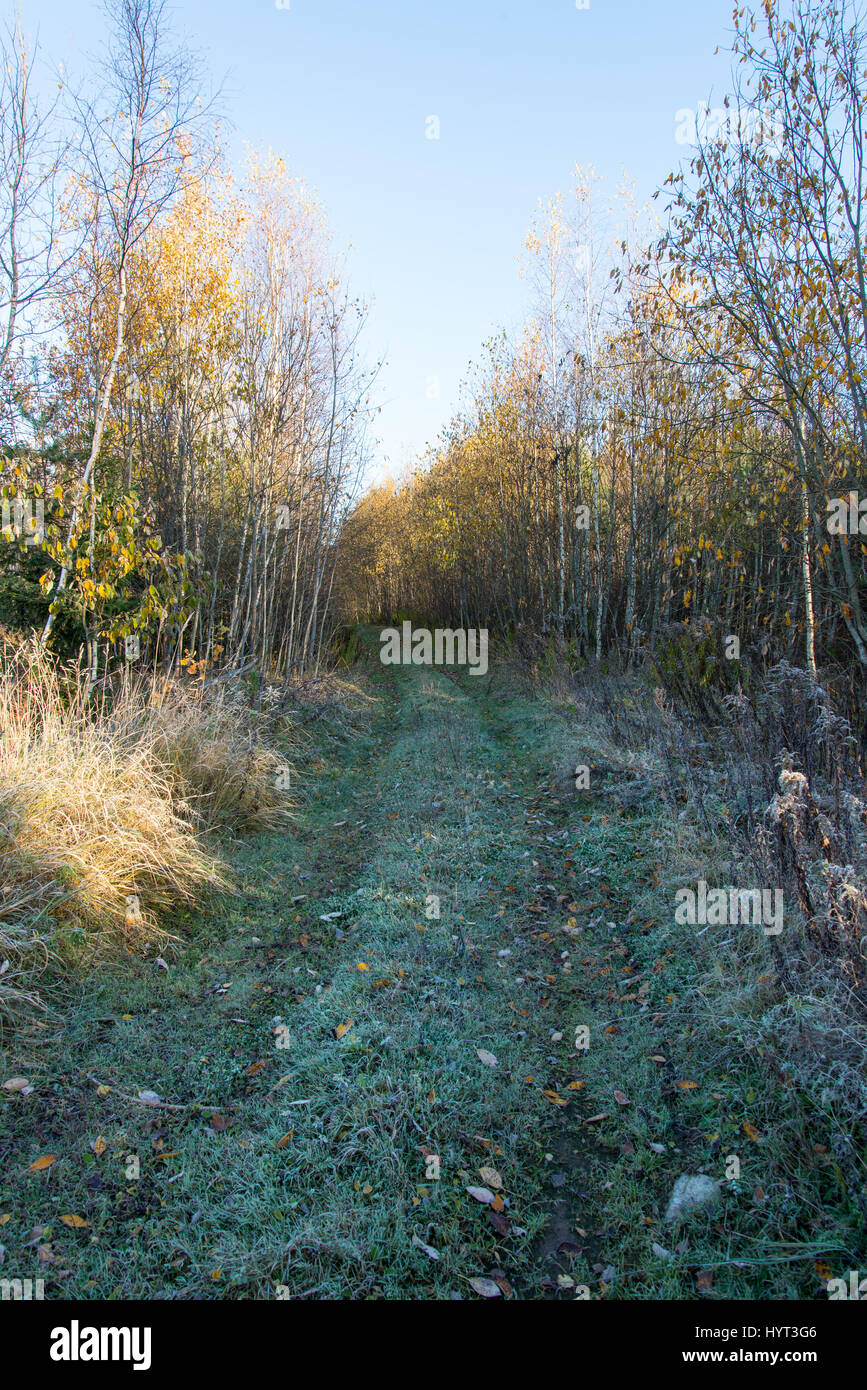 first winter frost bite in the country. late autumn Stock Photo - Alamy
