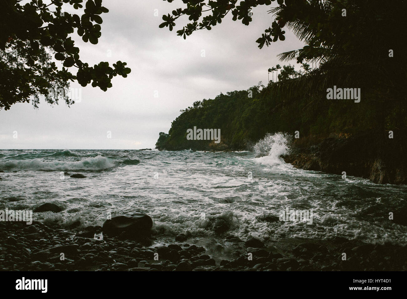 Wave Crashing at Onomea Bay, Hilo, Big Island, Hawaii, USA Stock Photo ...