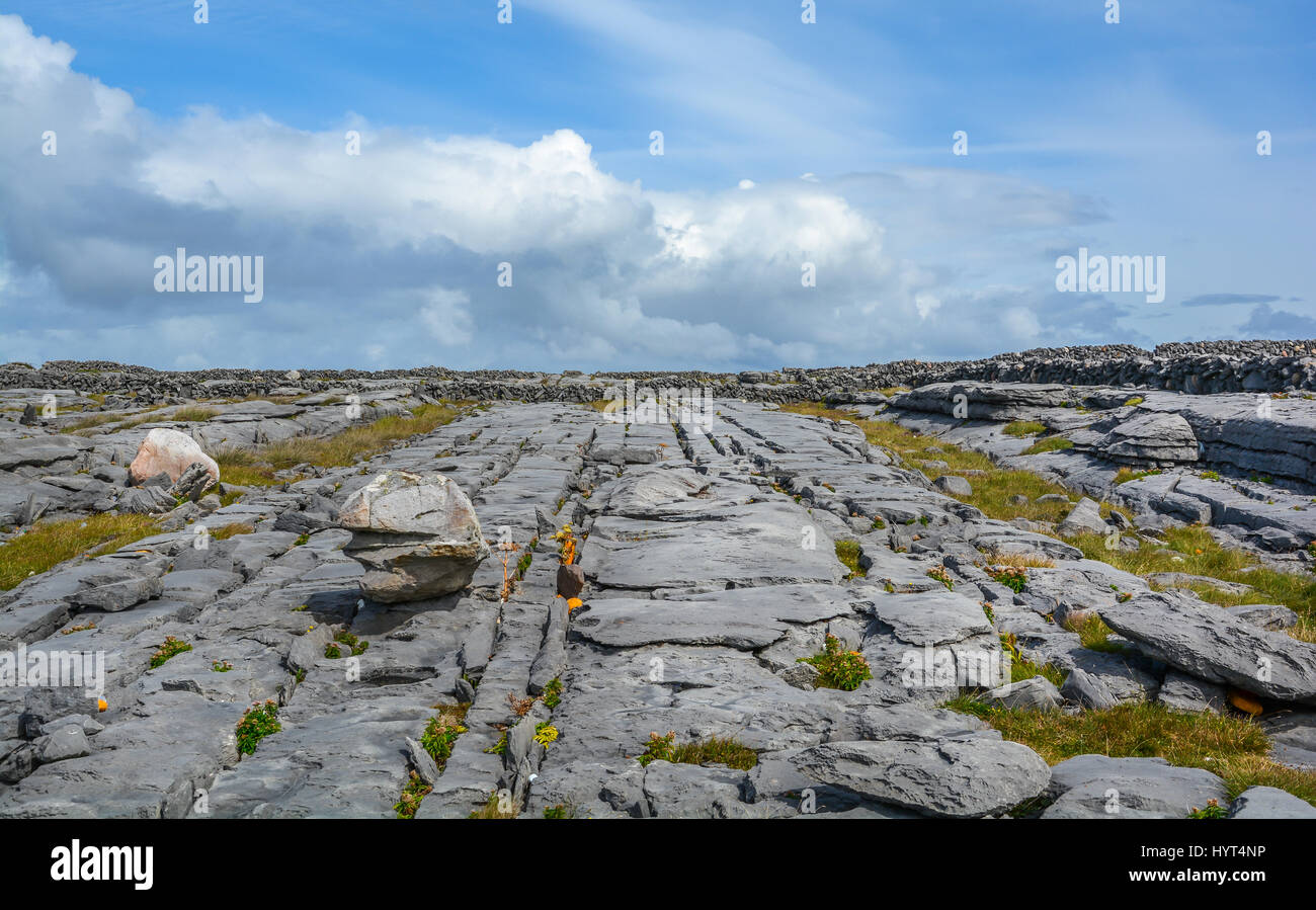 Scenic cliffs of Inishmore, Aran Islands, Ireland Stock Photo - Alamy