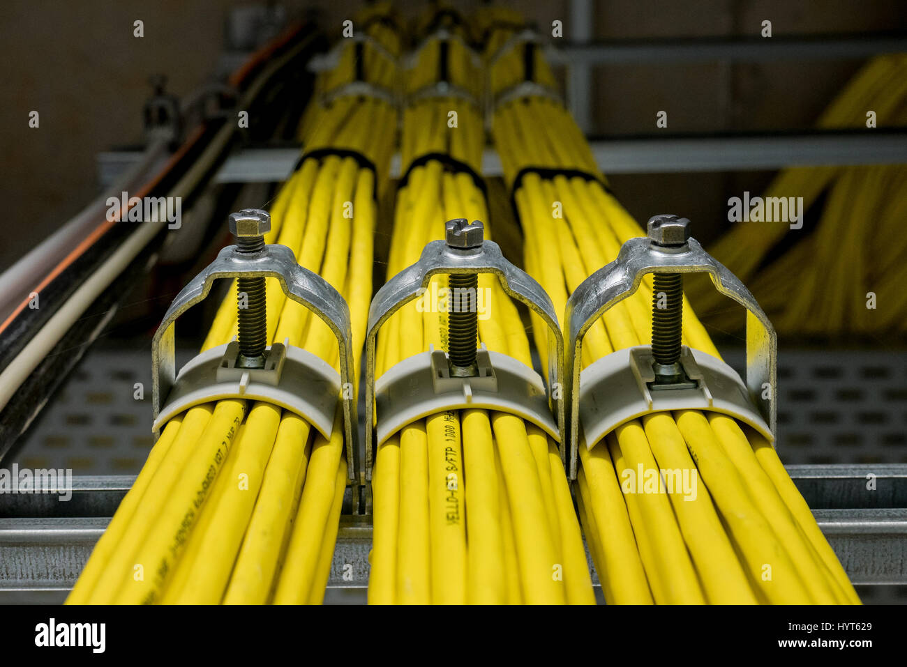 Yellow network cables with assured with cable clips Stock Photo - Alamy