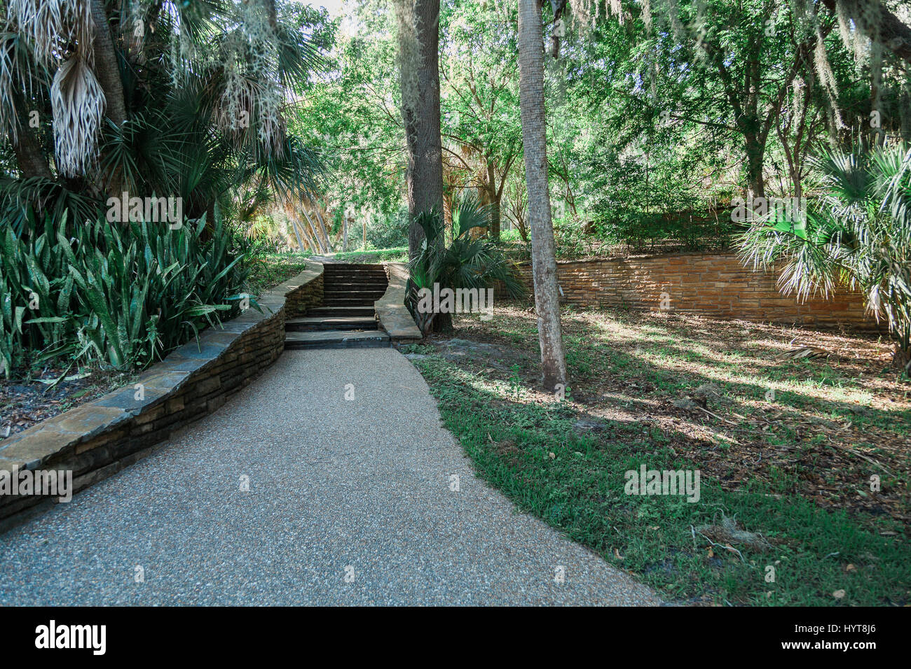 Philippe Park in Safety Harbor Florida Stock Photo - Alamy