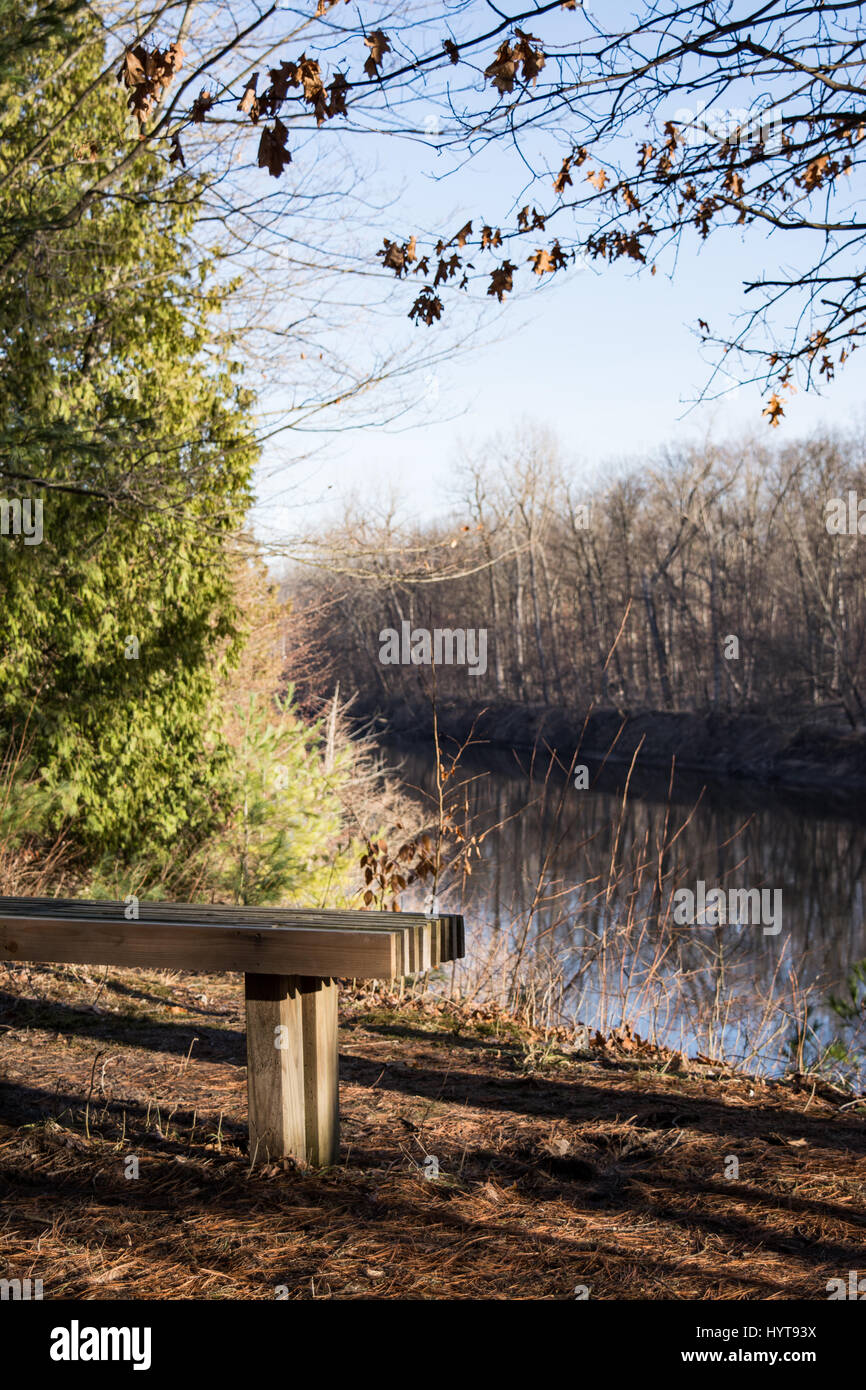 forest bench overlooking a river in a forest setting with a bright blue ...
