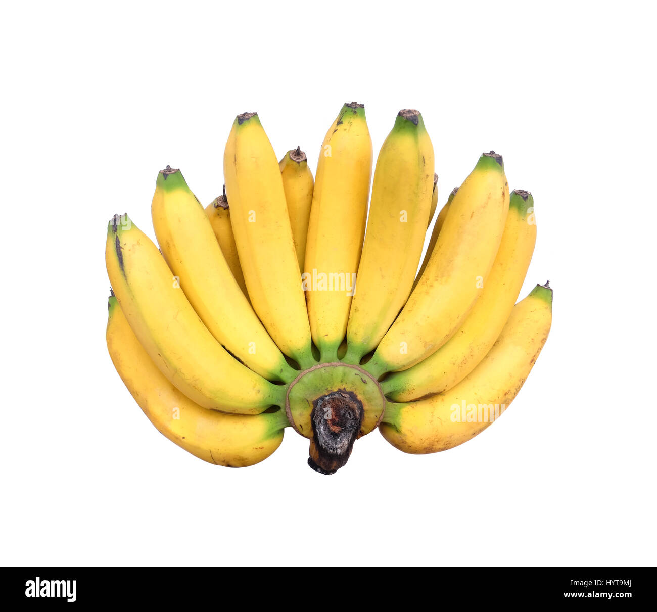 Bunch of bananas isolated on white background Stock Photo - Alamy