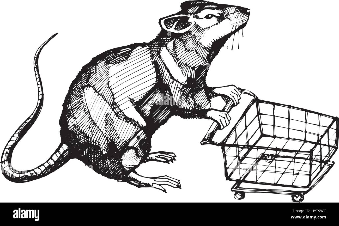 Hand drawn vector illustration or drawing of a rat with a shopping cart ...