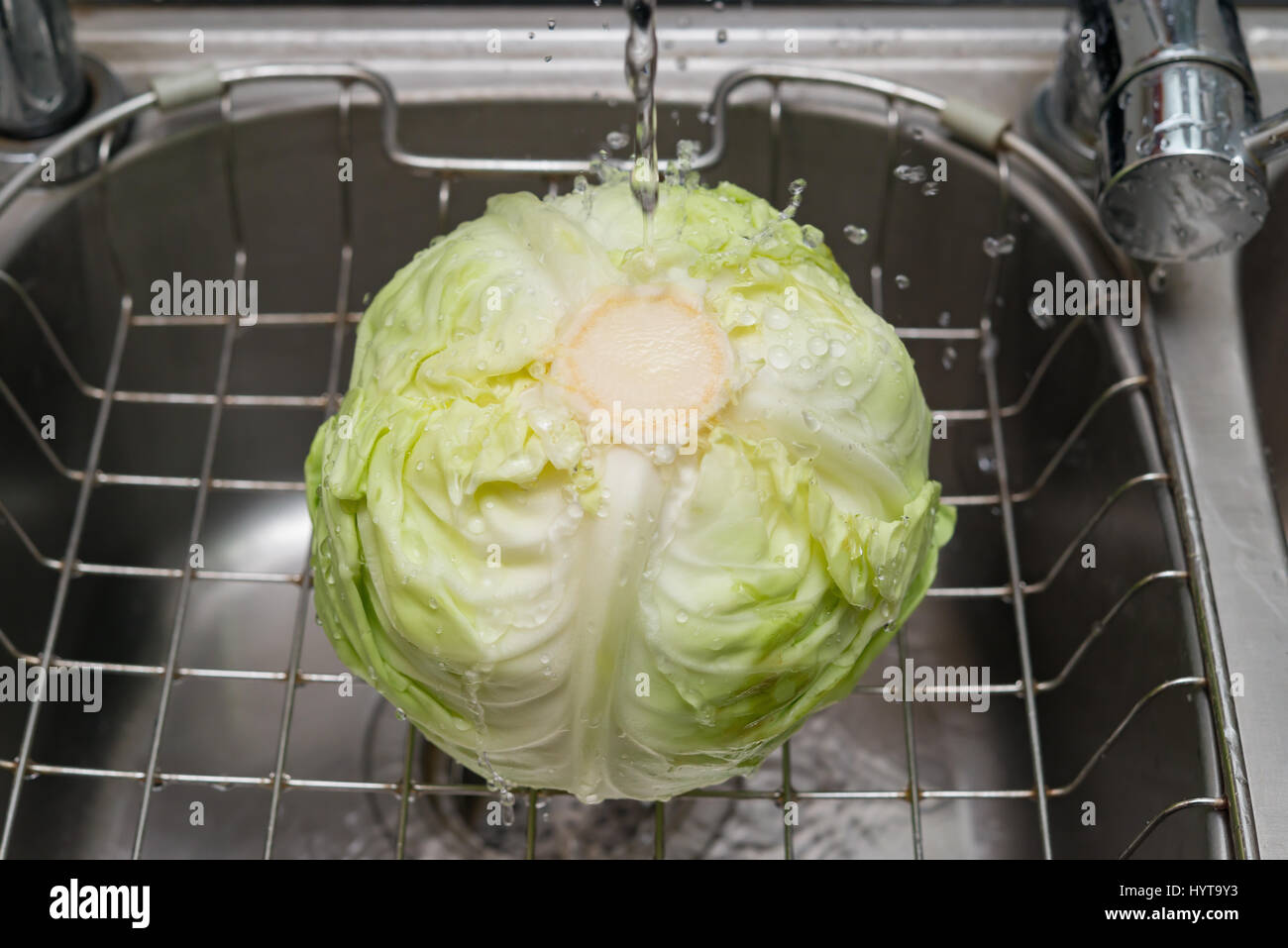 Washing cabbage hi-res stock photography and images - Alamy
