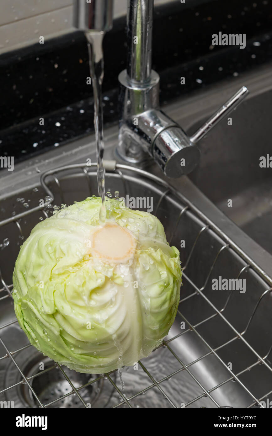 washing fresh cabbage on sink Stock Photo - Alamy