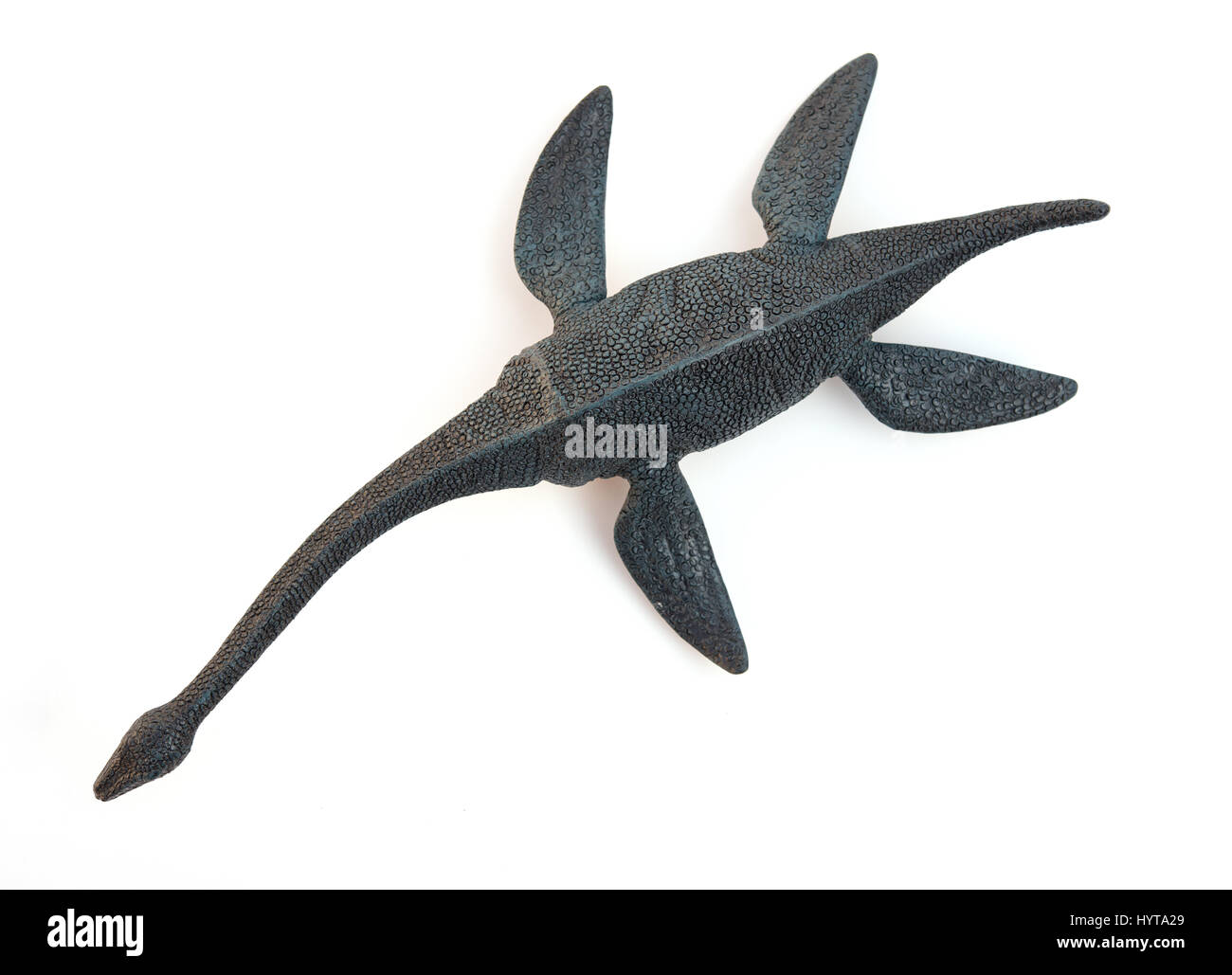 side view plesiosaurus on a white background Stock Photo - Alamy