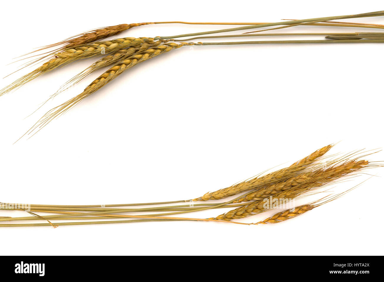 paddy shaped like a frame on a white background Stock Photo - Alamy