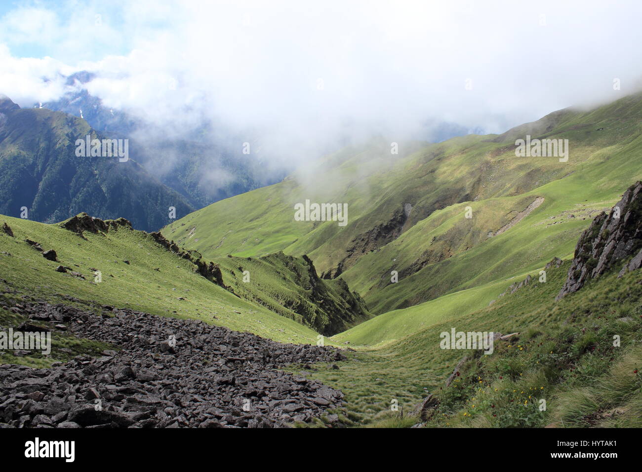 Alpine himalayan hi-res stock photography and images - Alamy