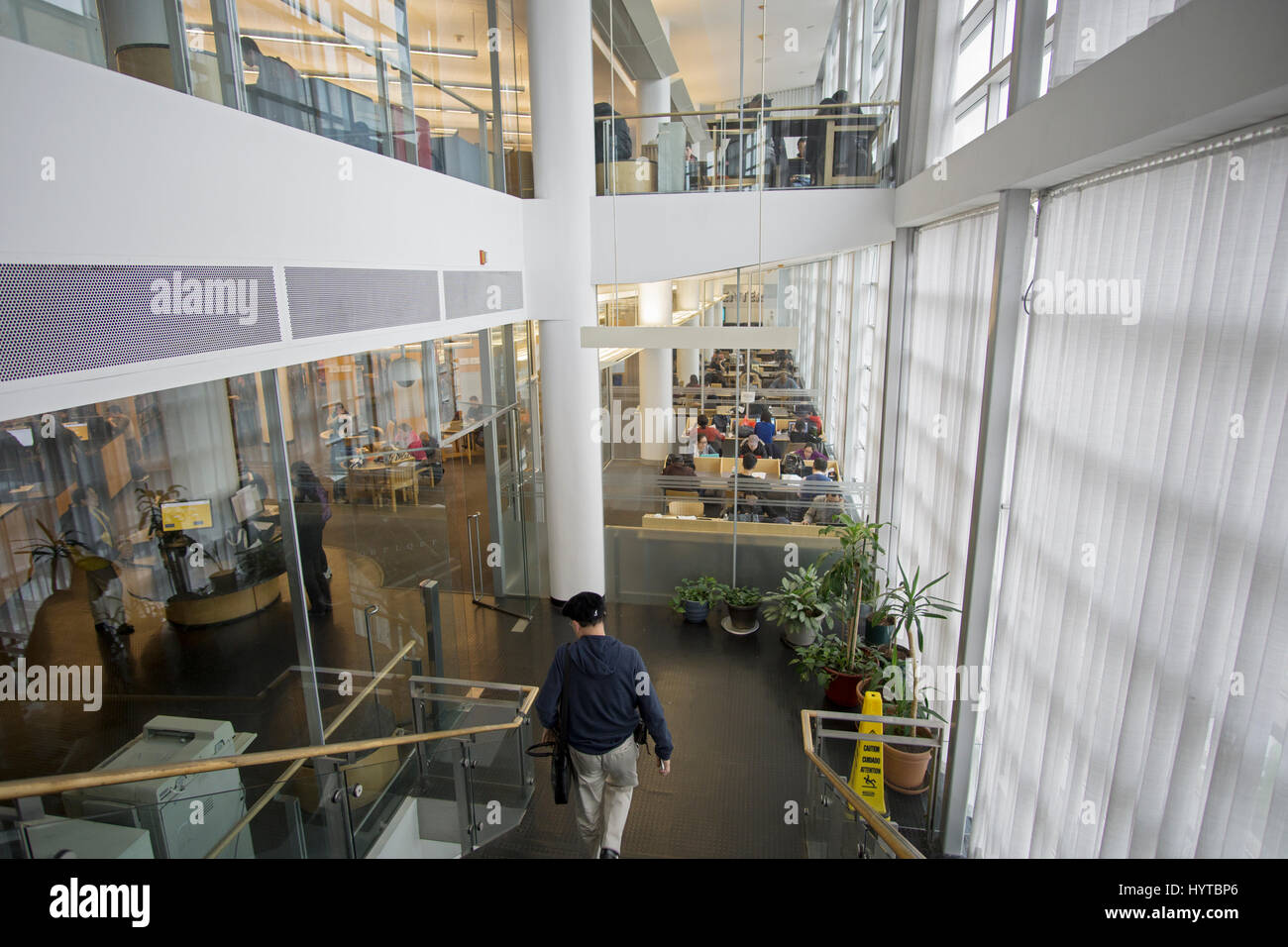 Queens Library Main Branch