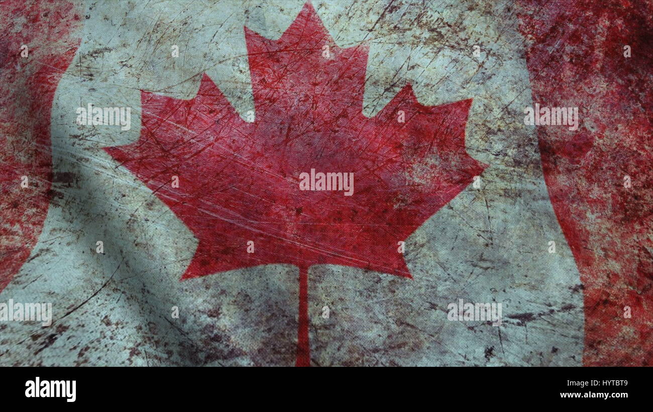 Realistic Ultra-HD flag of the Canada waving in the wind. Seamless loop ...