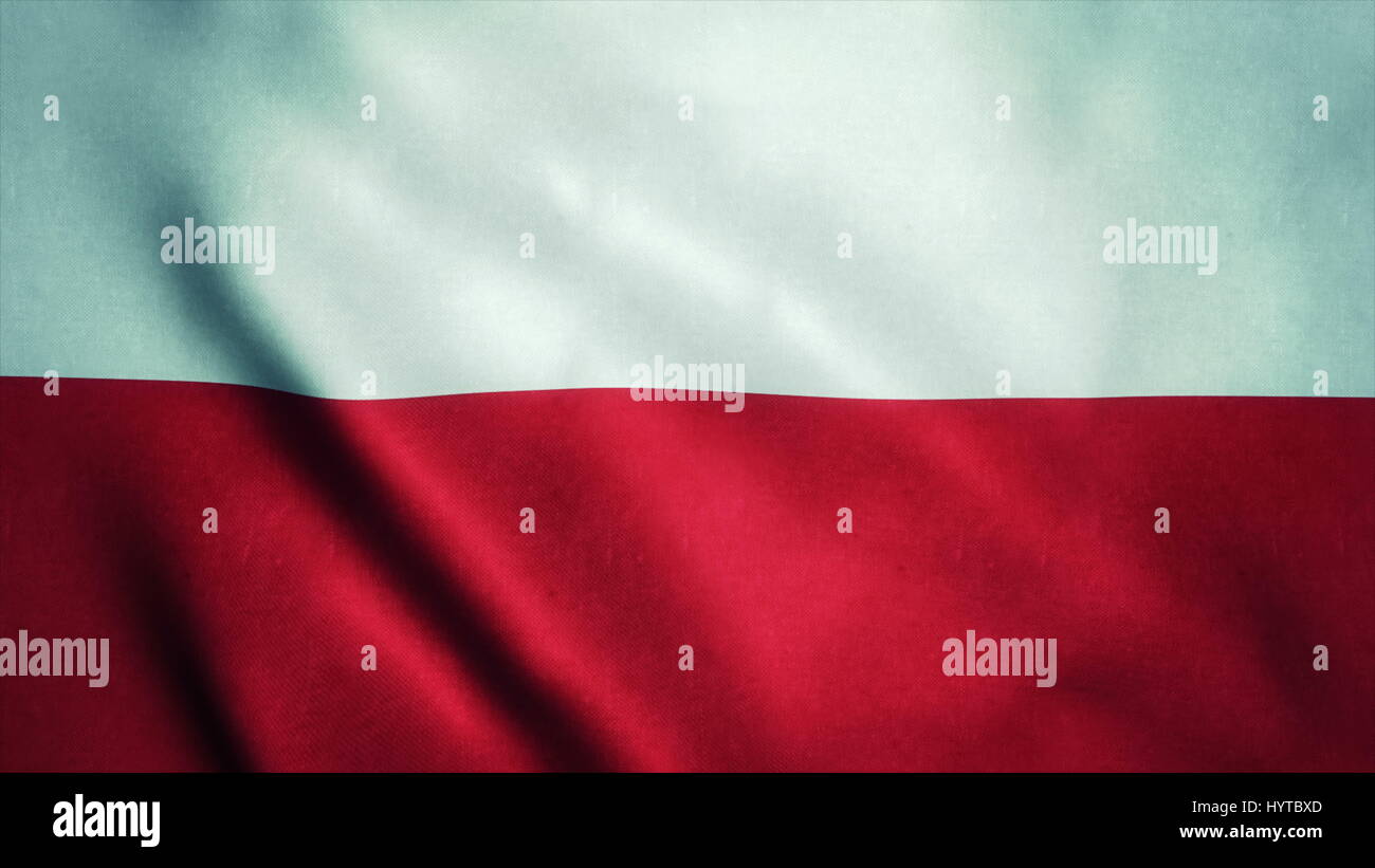 Realistic Ultra-HD flag of the Poland waving in the wind. Seamless loop ...