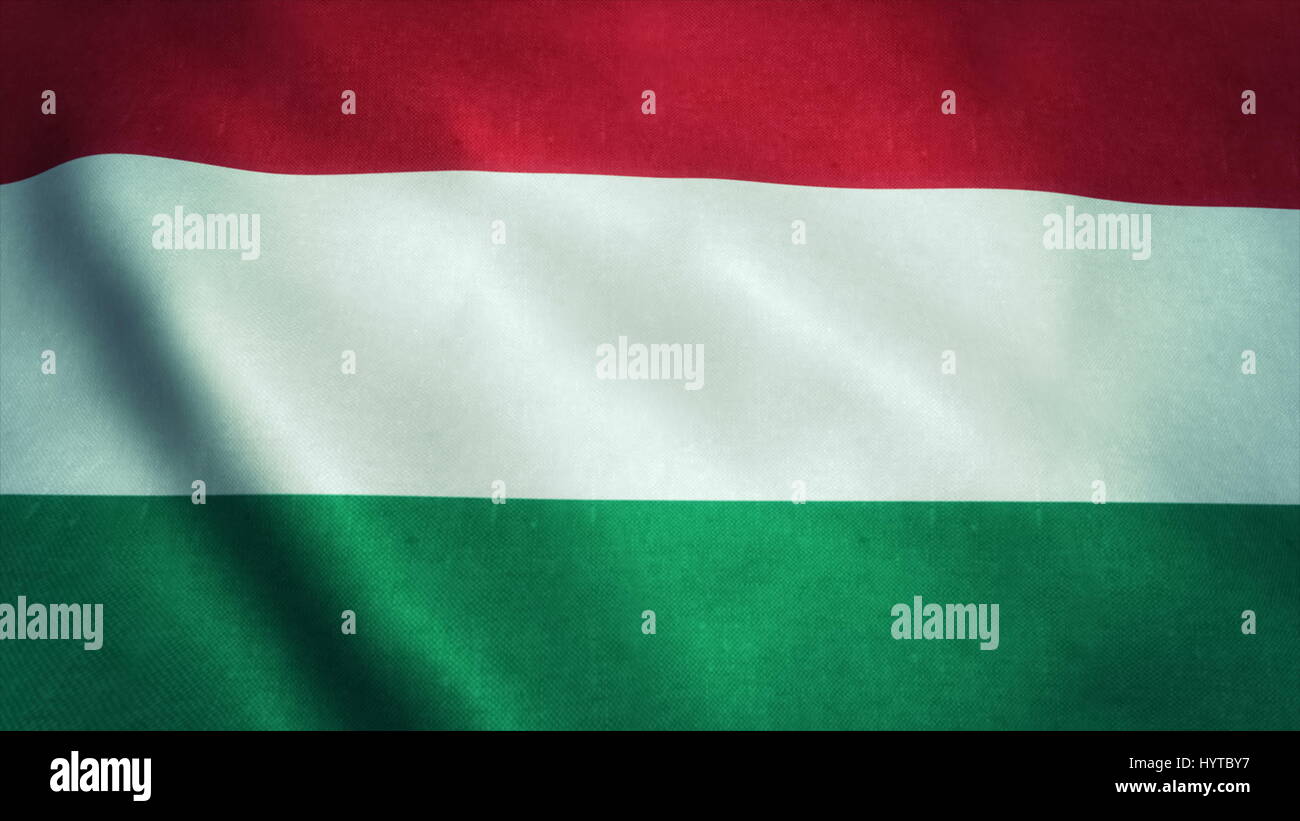 Realistic Ultra-HD flag of the Hungary waving in the wind. Seamless ...