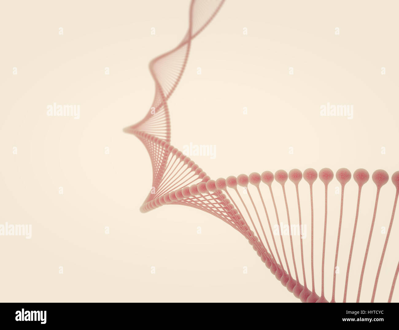 DNA model double helix 3d model Stock Photo - Alamy