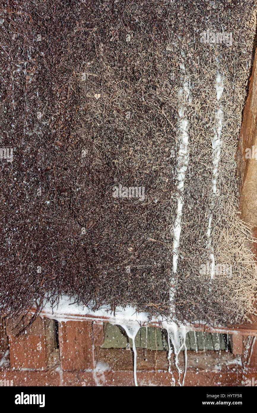 Brine water hi-res stock photography and images - Alamy