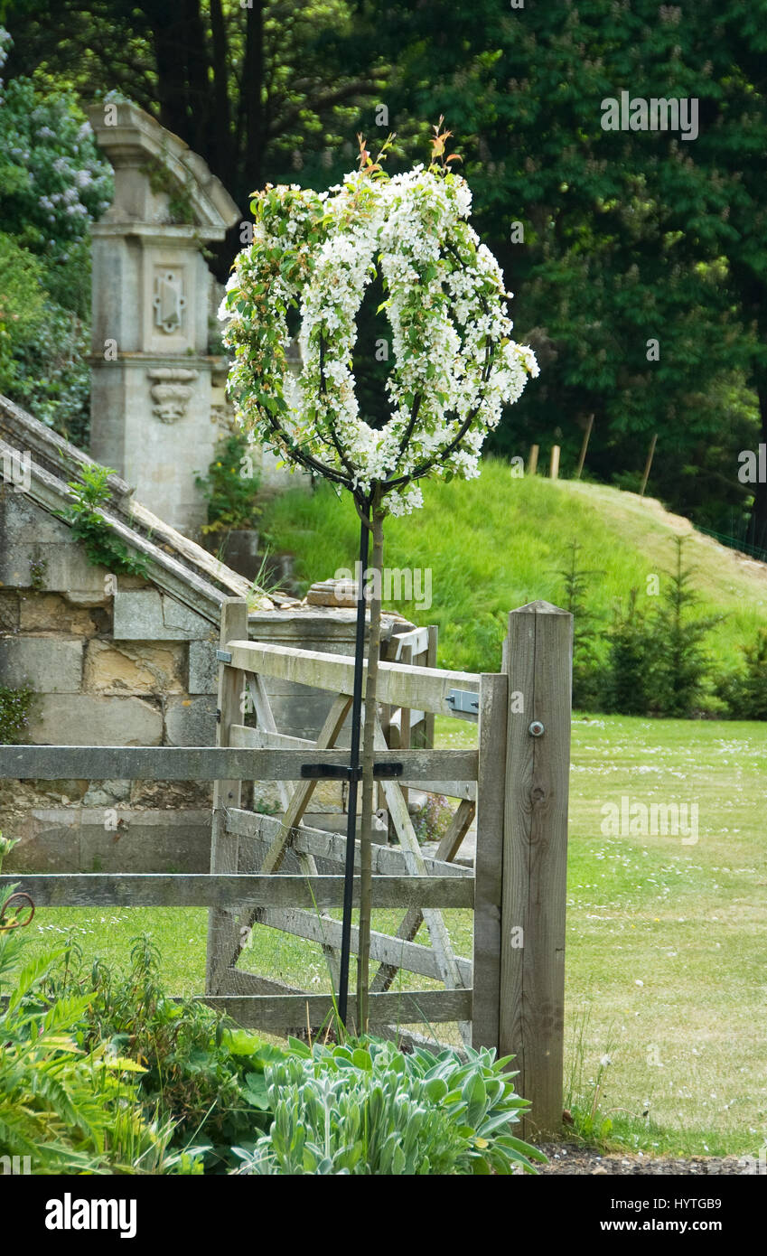 Topiary tree park hi-res stock photography and images - Alamy