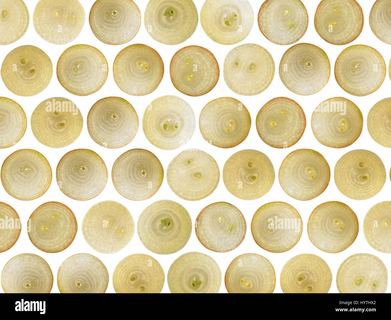 Onion slice in cross section hi-res stock photography and images - Alamy