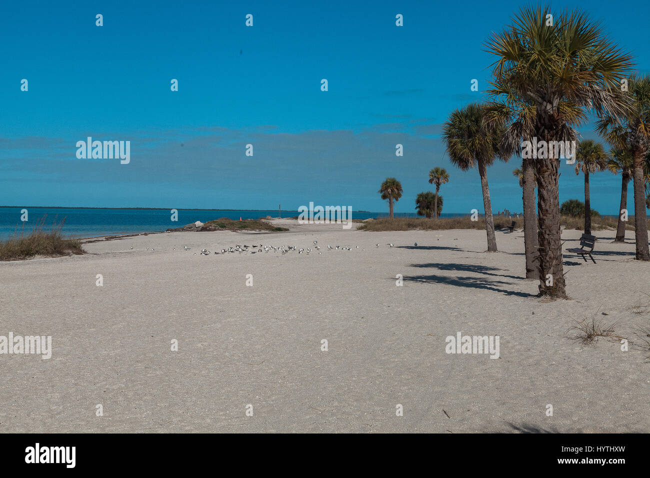 Fred Howard park in Tarpon Springs Florida Stock Photo - Alamy